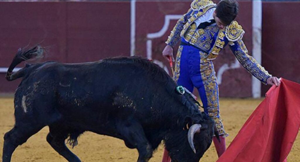 Vistalegre se rinde al arte torero del novillero Samuel Navalón | La ...